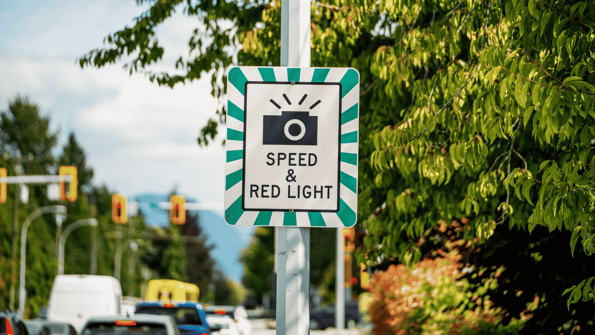 Red Light Enforcement - Elovate